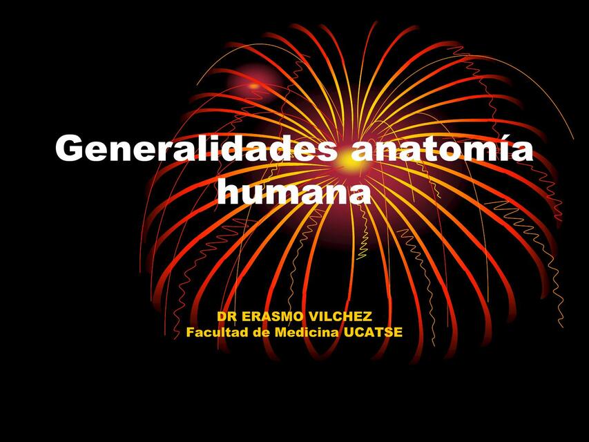 Generalidades anatomía humana | Dr. Meneses | uDocz