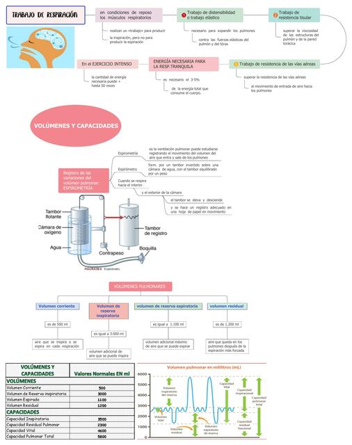Trabajo de Respiración | MARYURI LISBETH | uDocz