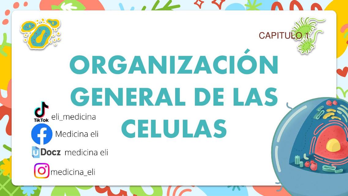 BIOLOGIA CELULAR | uDocz