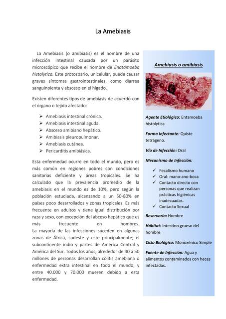 Flashcards de La Amebiasis | Por MEDilove | uDocz