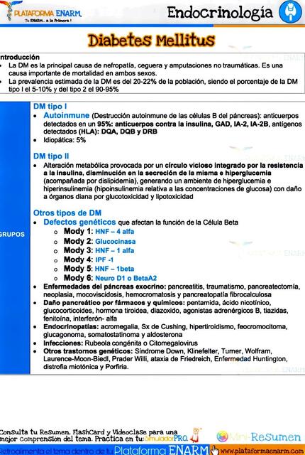 Flash card- Endocrinología | Felisa Ivania Gomez Garcia | uDocz