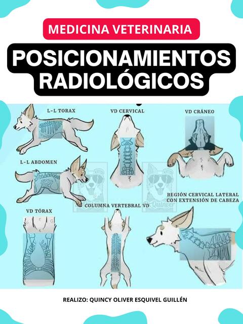 Posicionamiento Radiológico | Dr.Quinver | uDocz