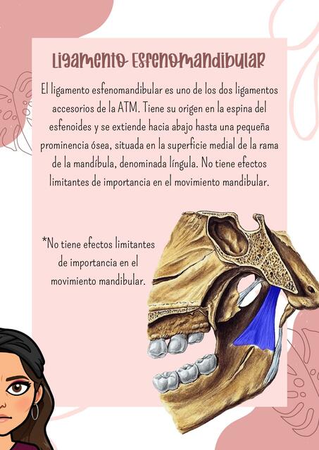 Ligamento Esfenomandibular | Linda Palacios | uDocz