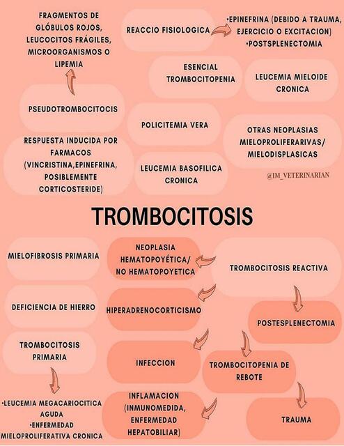 Trombositosis | fraii | uDocz