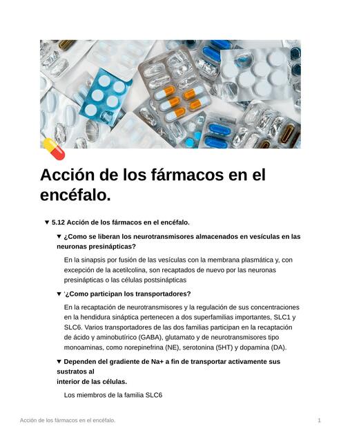 Acción de los fármacos en el encéfalo | ESPM MEDICINA | uDocz