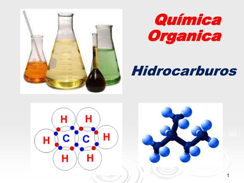 Hidrocarburos | Linda Milena León Gómez | uDocz