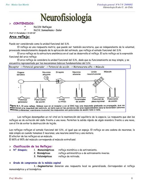 Neurofisiologia Reflejos Somestesia Dolor | YUDOC.ORG | uDocz
