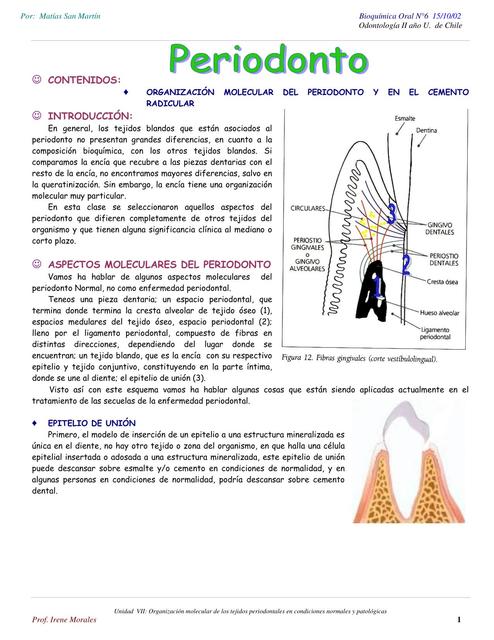 Periodonto | YUDOC.ORG | uDocz