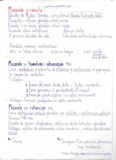 Mucocele y Ránula | Estudia Odonto | uDocz