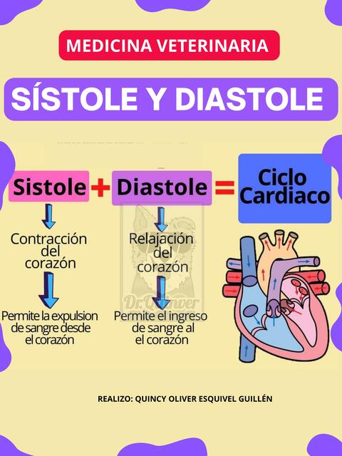 Sístole y Diástole | Dr.Quinver | uDocz