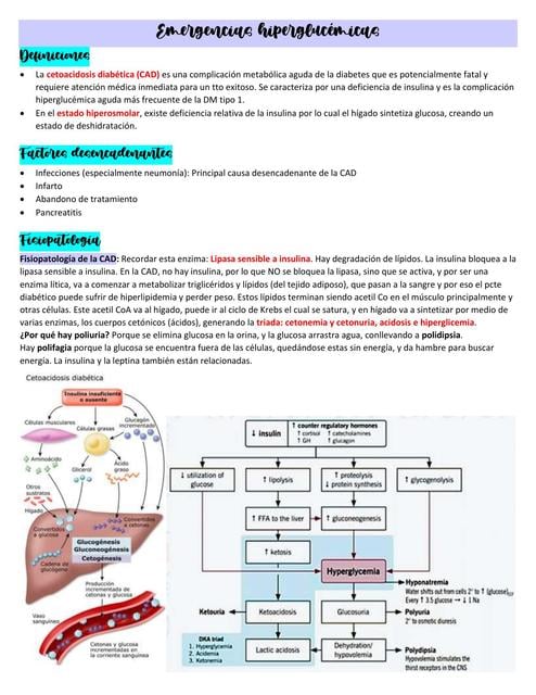 Cetoacidosis Diabetica Y Estado Hiperosmolar En Urgencias Cetoacidosis