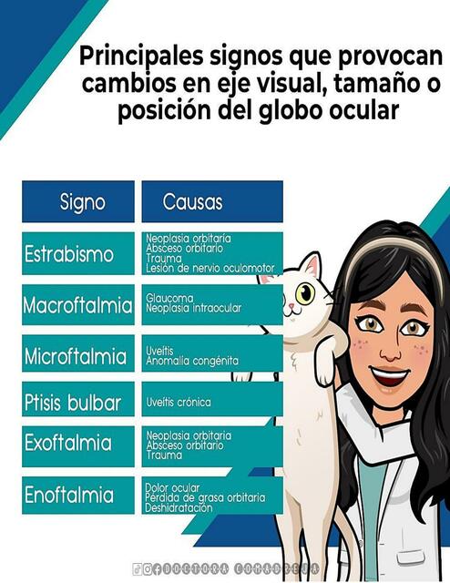 Signos que provocan cambios en el eje visual