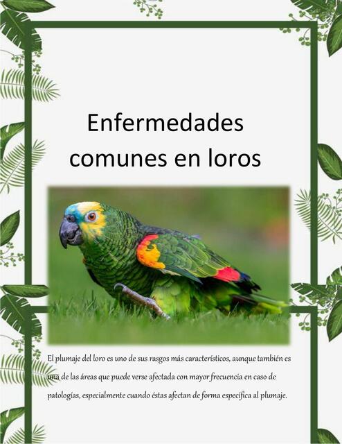 Muda anómala del plumaje del loro | Mariangel Parada | uDocz
