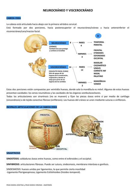 Neurocráneo y Vicerocráneo | MFrias | uDocz