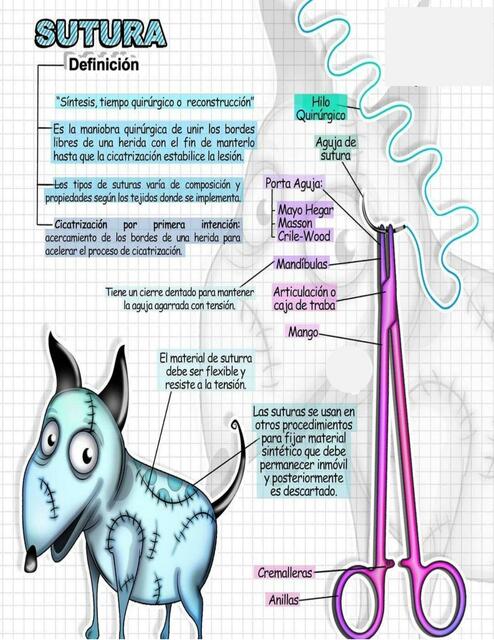 Sutura | fraii | uDocz