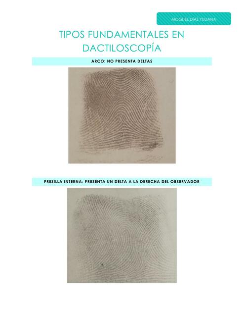 Tipos Fundamentales en Dactiloscopia | Forensic.notes | uDocz
