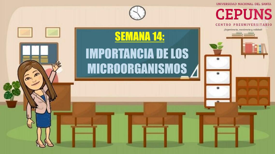Importancia De Los Microorganismos Nicole Nc Udocz