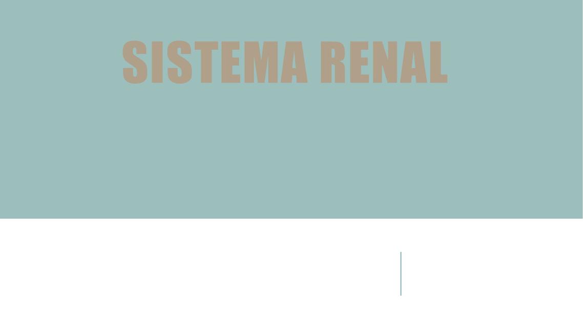 Sistema Renal | Gabriela Servin | uDocz