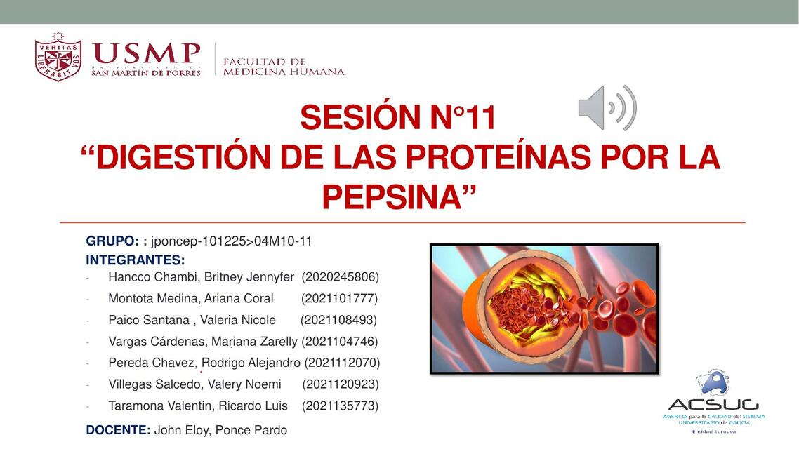 Sesión n°11 “Digestión de las Proteínas por la Pepsina” | Mariana ...