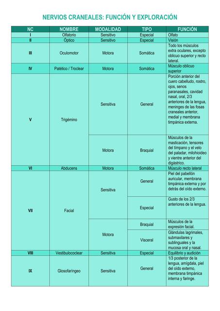 Nervios craneales: Función y exploración | Nancy A3C | uDocz