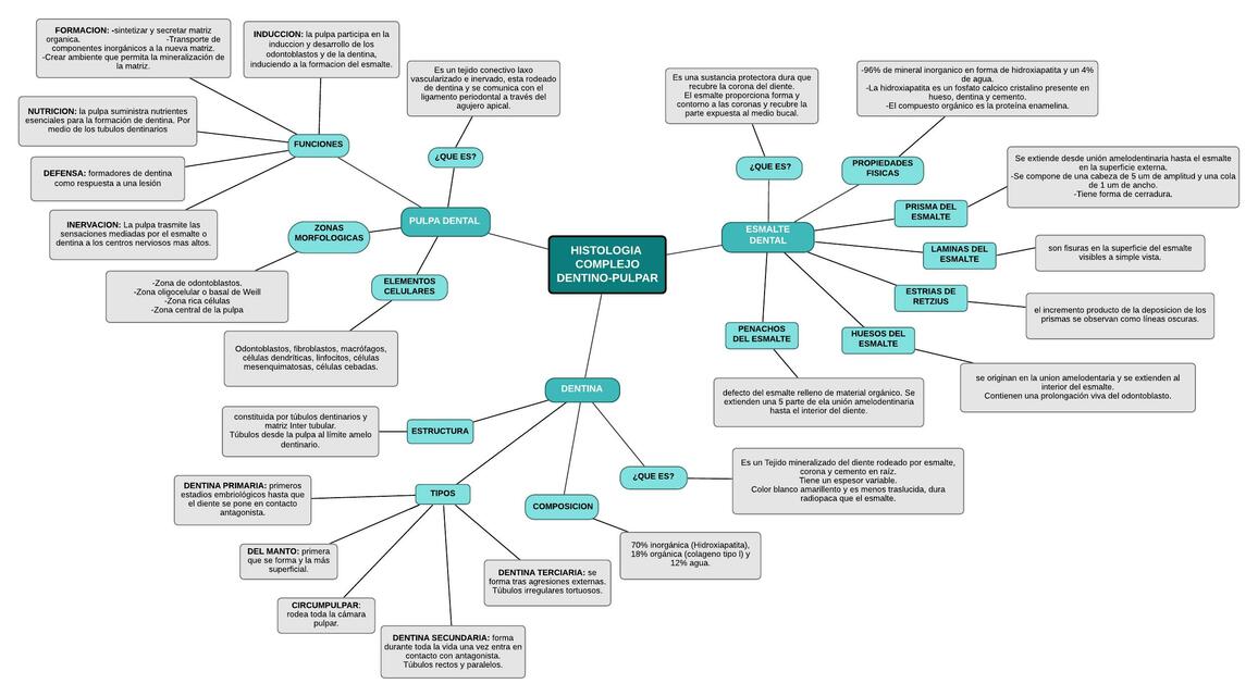 Complejo dentino pulpar | Michelle Pedroza | uDocz