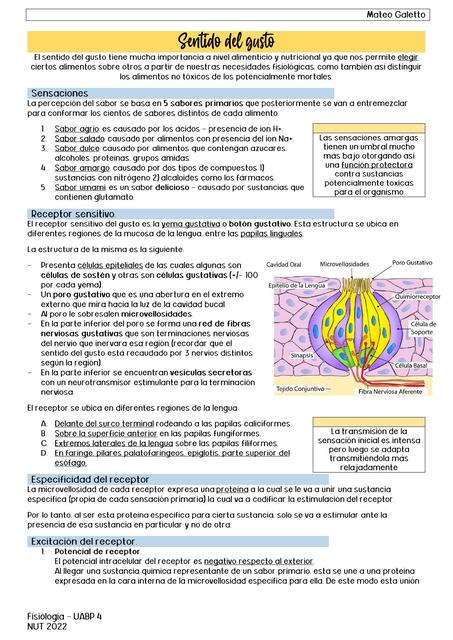 Fisiología de Sentido del Gusto y el Olfato | Mateo Galetto | uDocz