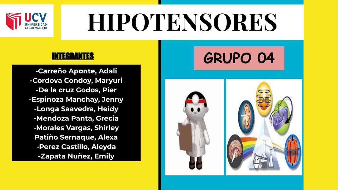 Hipotensores | MARYURI LISBETH | uDocz