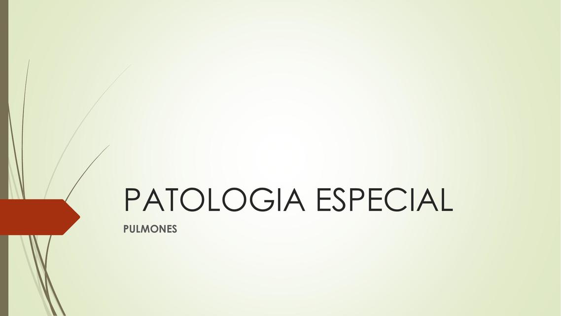 Patología Especial Pulmones | JPaul HAsto | uDocz
