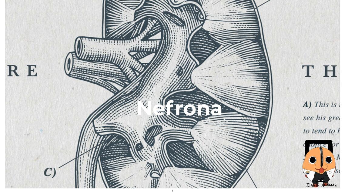 Nefrona, Diuréticos, Acción | uDocz