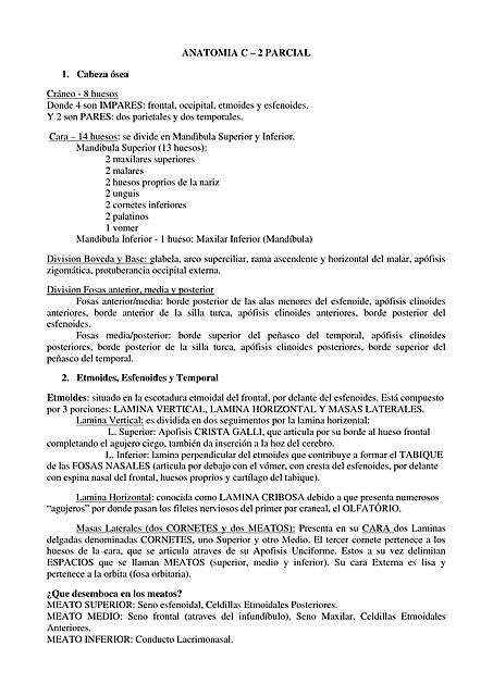 ANATOMIA C - 2 Parcial | Emmily Vasques | uDocz