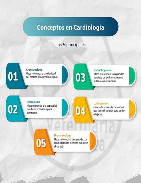 Conceptos en cardiología | fraii | uDocz