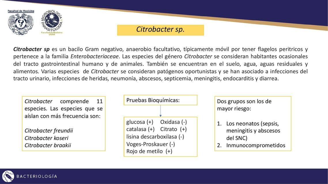 Citrobacter sp | Alisson Gomora Gonzalez | uDocz