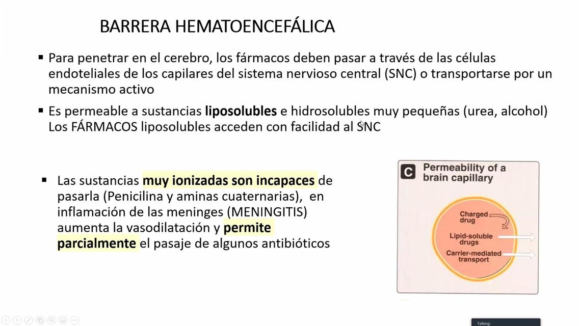 Barrera placentaria | Alisson Gomora Gonzalez | uDocz