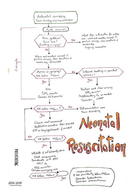 Flujograma de RCP Neonatal - MEDESFERA | uDocz