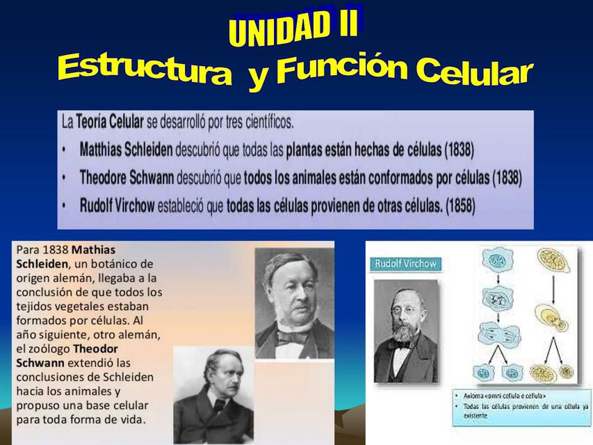 Estructura y función celular | Psicostudya | uDocz
