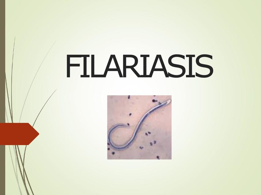 Resúmenes de Filariasis | Descarga apuntes de Filariasis
