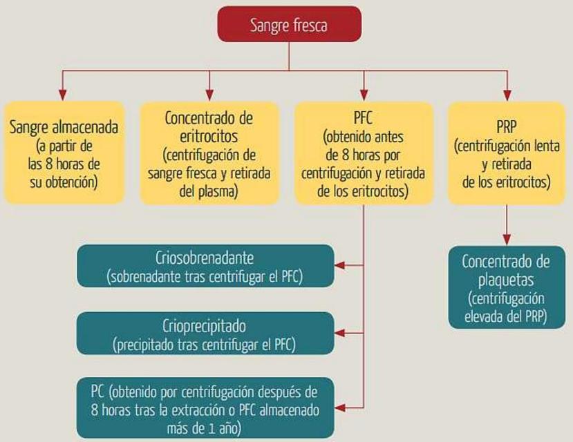 Sangre fresca | fraii | uDocz