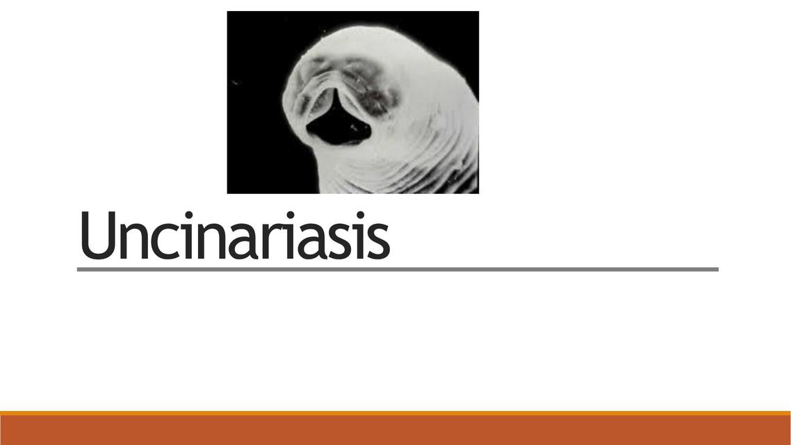 Uncinariasis | JPaul HAsto | uDocz