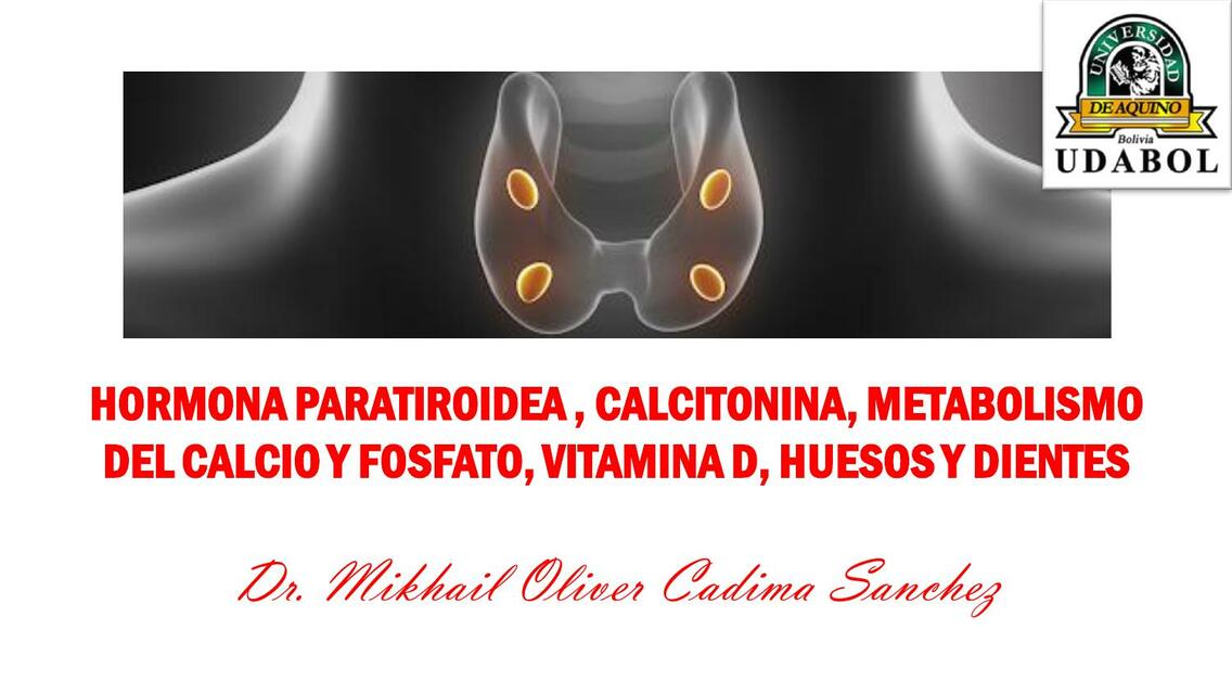 Hormona Paratiroidea, Calcitonina, Metabolismo del Calcio y Fosfato ...