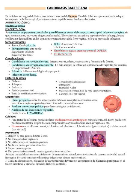Candidiasis Bacteriana | YESSICA KAREN NUÑEZ CHAMBI | uDocz