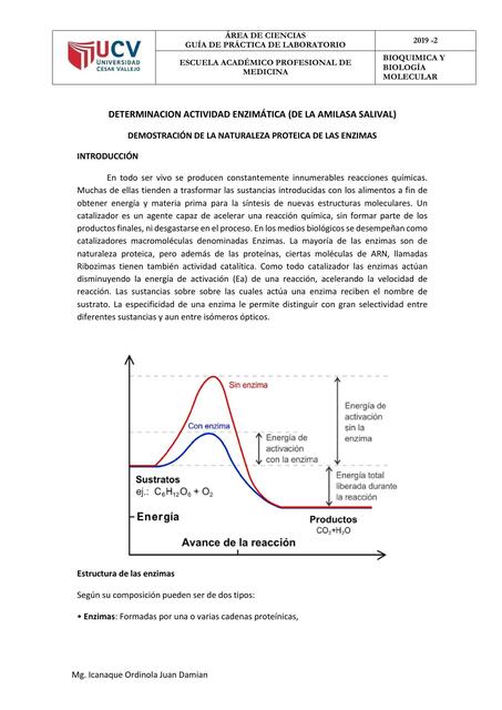 Determinación Actividad Enzimática (De la Amilasa Salival) | MARYURI ...