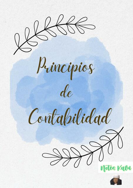 PRINCIPIOS DE CONTABILIDAD | Notes Kalu | uDocz