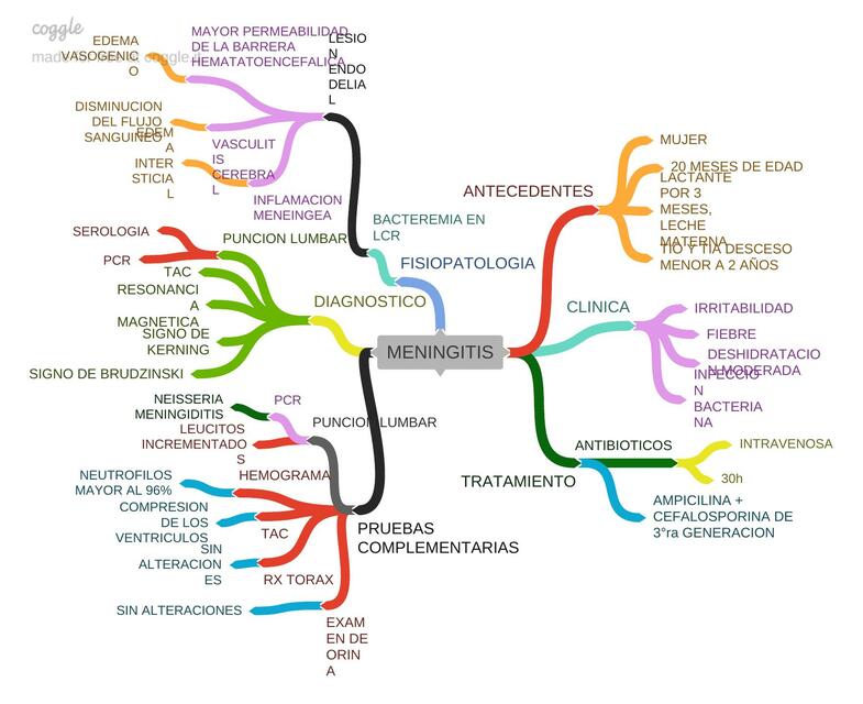 Meningitis | Forensic.notes | uDocz
