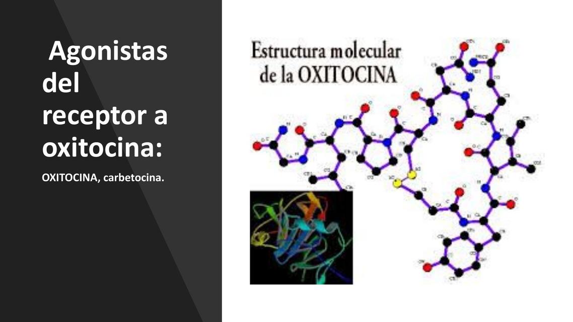 Oxitocina | Alisson Gomora Gonzalez | uDocz Oxitocina | Alisson Gomora Gonzalez | uDocz