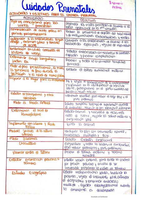 Cuidados Prenatales | Enfermería | uDocz