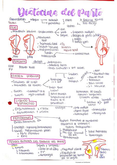 Distocias del Parto | Enfermería | uDocz