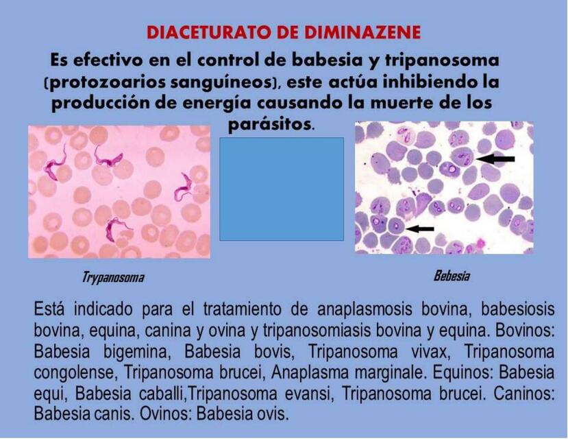 Diaceturato de diminazene | fraii | uDocz