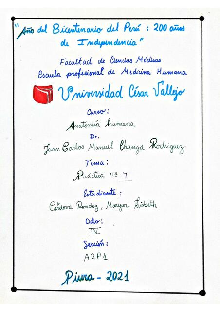 Práctica N7 | MARYURI LISBETH | uDocz