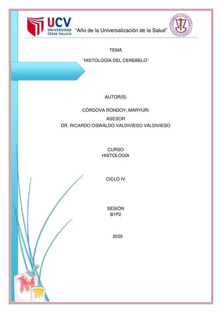 El cerebelo | MARYURI LISBETH | uDocz