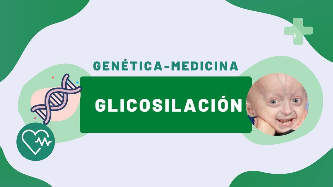 Glicosilación | Bosque | uDocz